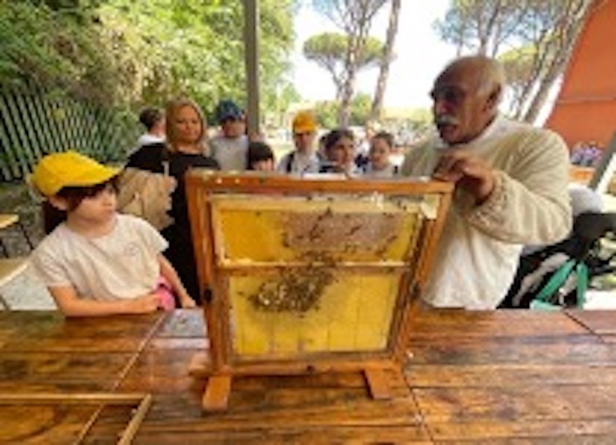 “Salviamo le api e la biodiversità”: la Primaria Manzù di Ardea ... “Salviamo le api e la biodiversità”: la Primaria Manzù di Ardea ...